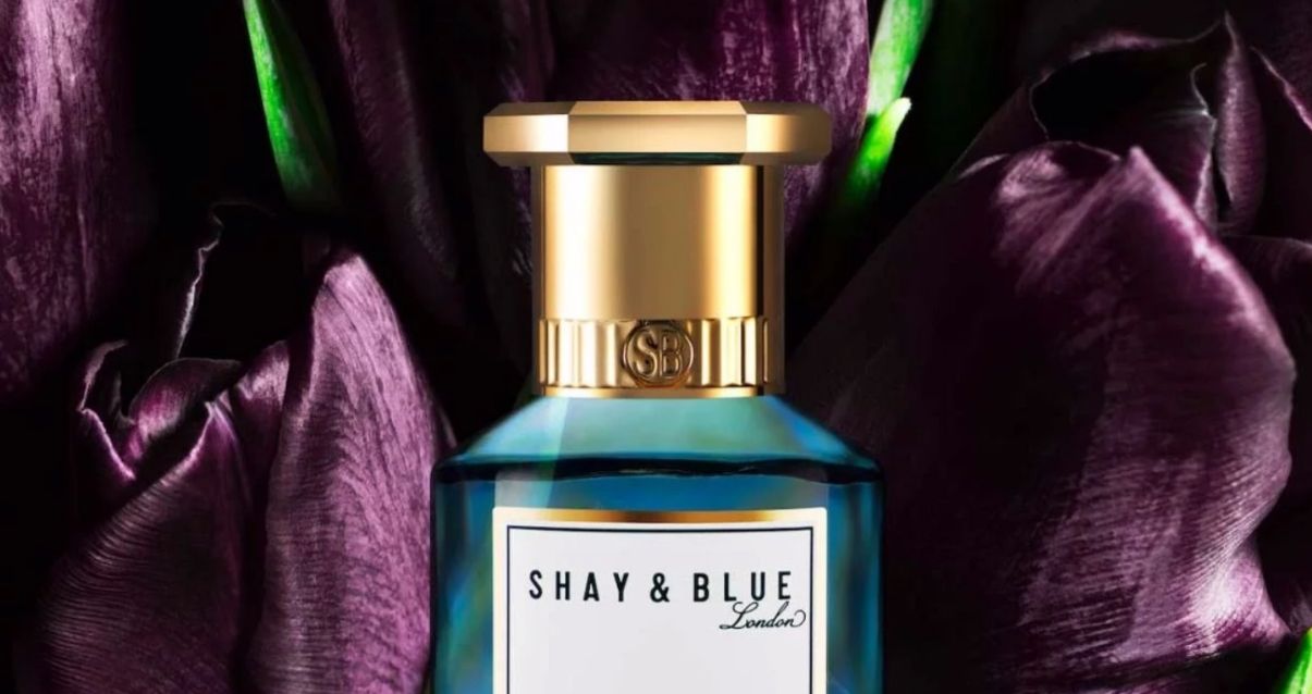 Introducing the Black Season Collection – Shay & Blue DEV