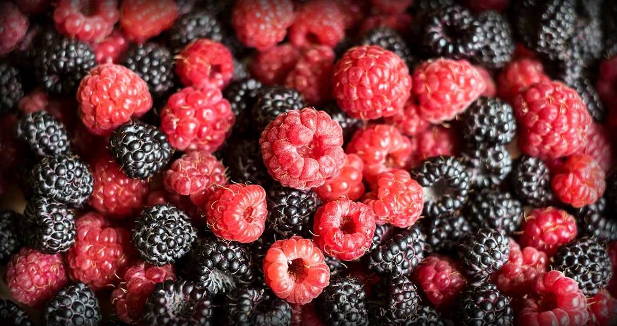 Ingredient Spotlight: Framboise Noire – Shay & Blue DEV